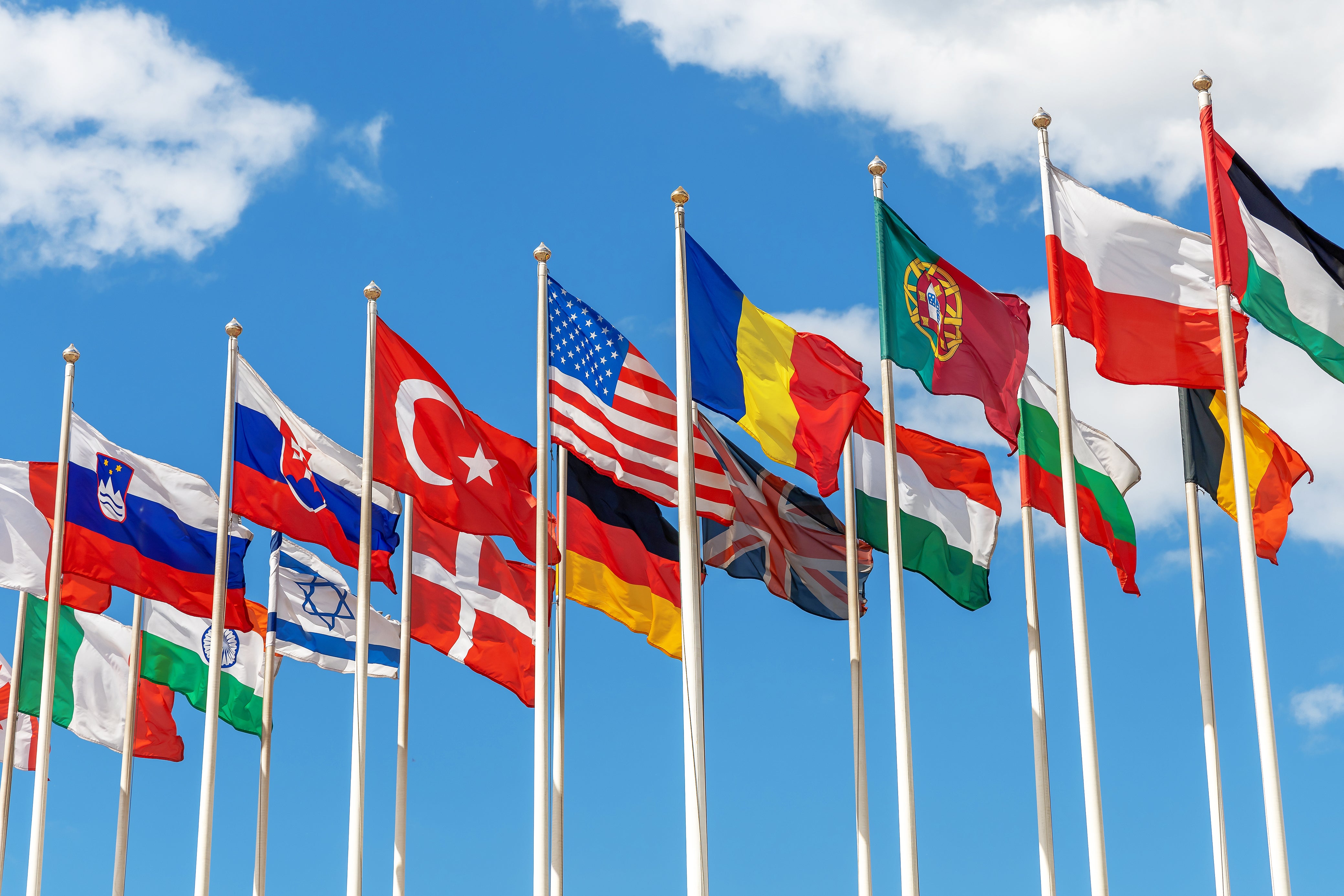 What is the Role of Flags in Sports? – SLEEFS